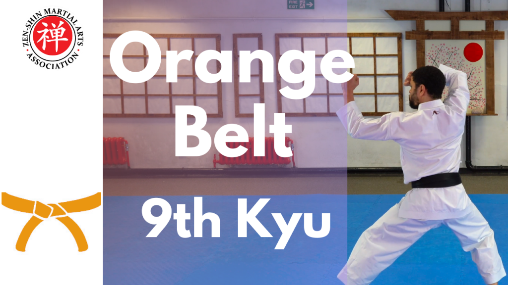 9th Kyu Orange Belt – Zen-Shin